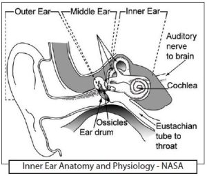 Middle Ear Fluid and Its Effects on Early Learning - John Tracy Center